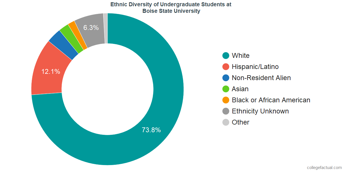 Boise State University Diversity: Racial Demographics & Other Stats