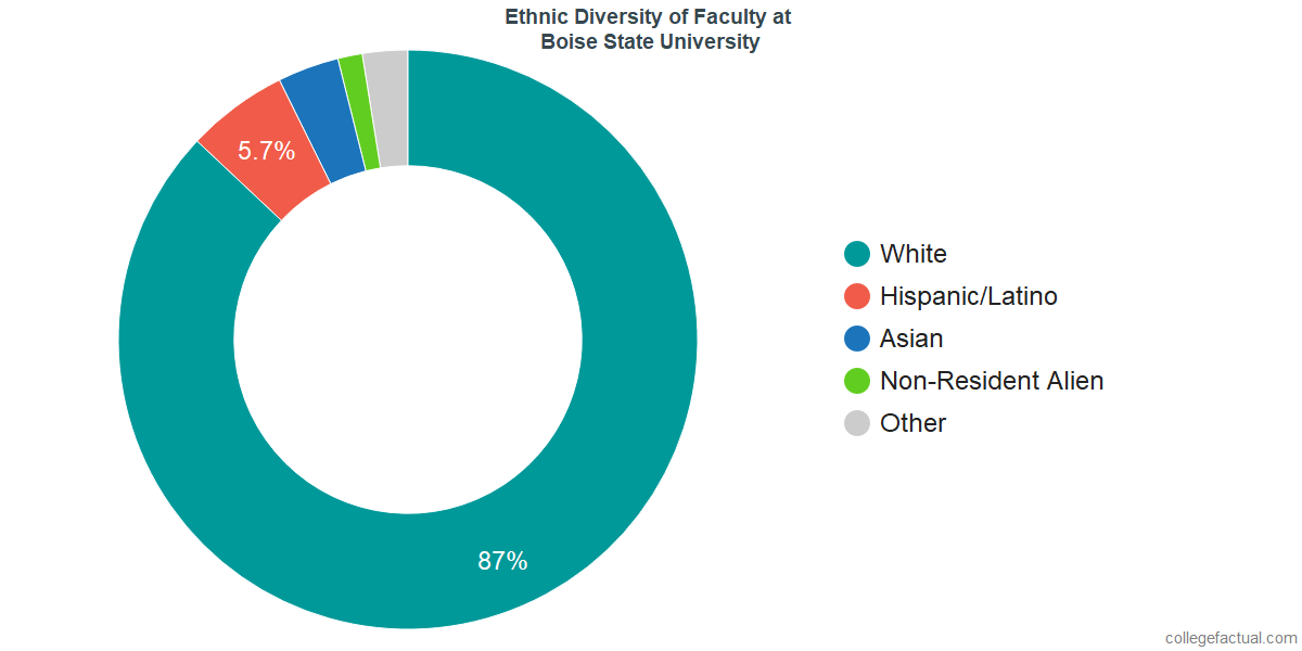 Boise State University Diversity: Racial Demographics & Other Stats