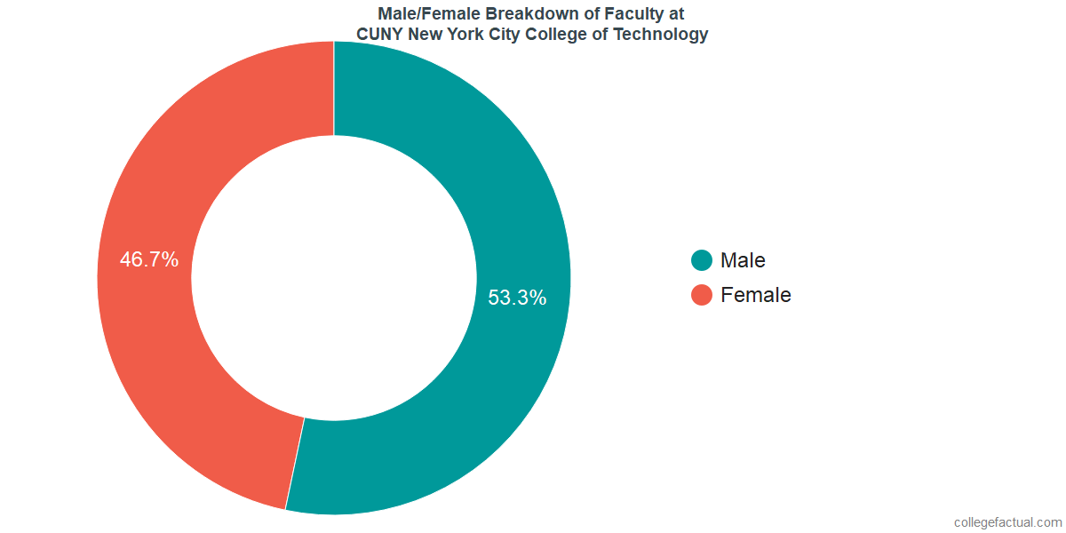 CUNY New York City College of Technology Diversity: Racial Demographics ...