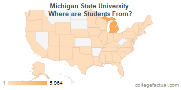 Michigan State University Diversity: Racial Demographics & Other Stats