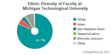Michigan Technological University Diversity: Racial Demographics ...