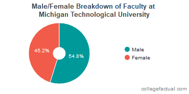 Michigan Technological University Diversity: Racial Demographics ...