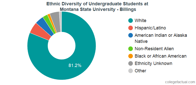 Montana State University - Billings Diversity: Racial Demographics ...