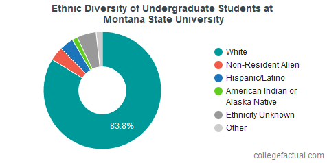 Montana State University Diversity: Racial Demographics & Other Stats