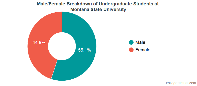 Montana State University Diversity: Racial Demographics & Other Stats