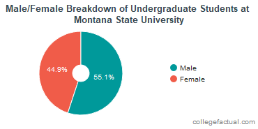 Montana State University Diversity: Racial Demographics & Other Stats