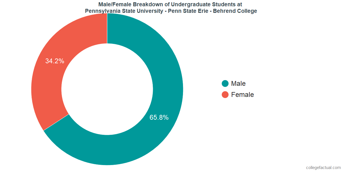Pennsylvania State University - Erie - Behrend College Diversity ...
