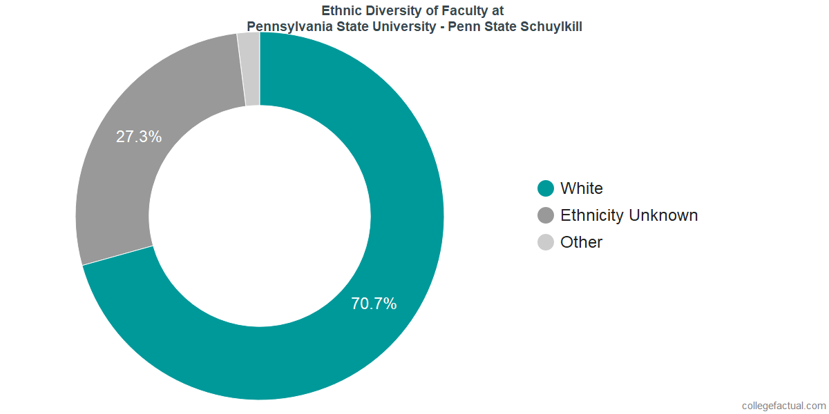 Pennsylvania State University - Schuylkill Diversity: Racial ...