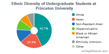 Princeton University Diversity: Racial Demographics & Other Stats