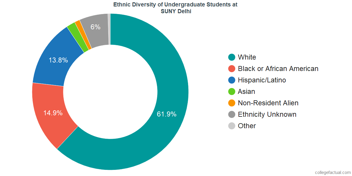 SUNY Delhi Diversity: Racial Demographics & Other Stats