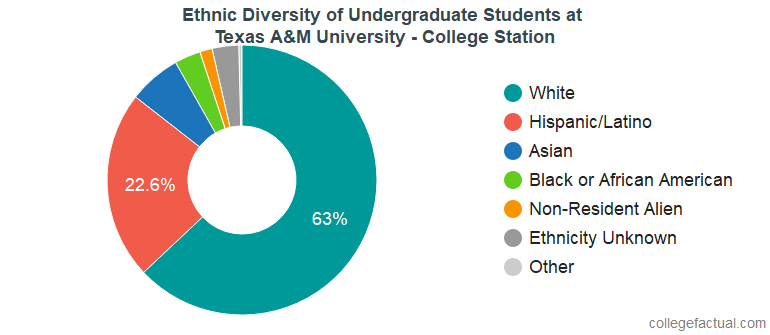 Texas A&M University - College Station Diversity: Racial Demographics ...