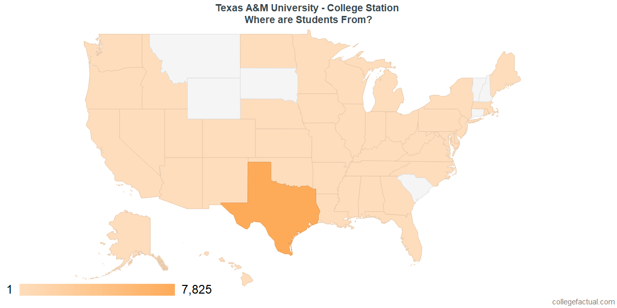 Texas A&M University - College Station Diversity: Racial Demographics ...