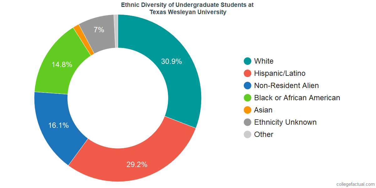 Undergraduate Ethnic Diversity at Texas Wesleyan University