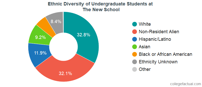 The New School Diversity: Racial Demographics & Other Stats