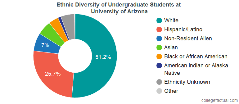 University of Arizona Diversity: Racial Demographics & Other Stats