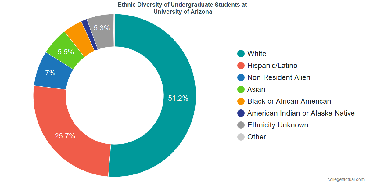 University Of Arizona Diversity Racial Demographics Other Stats
