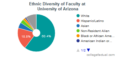 University of Arizona Diversity: Racial Demographics & Other Stats