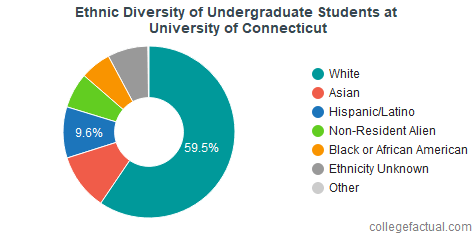 University of Connecticut Diversity: Racial Demographics & Other Stats