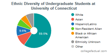University of Connecticut Diversity: Racial Demographics & Other Stats
