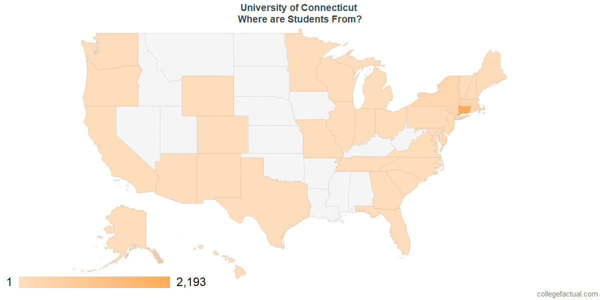 University of Connecticut Diversity: Racial Demographics & Other Stats