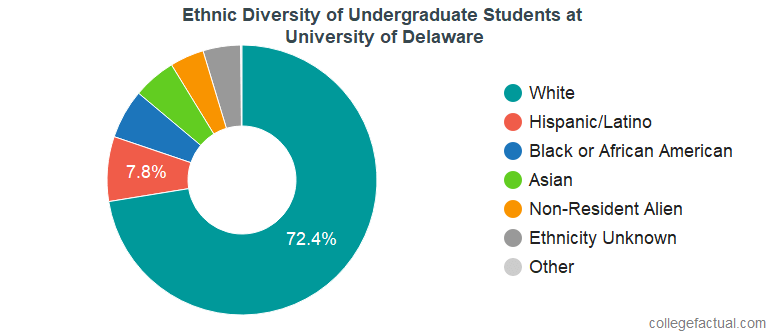University of Delaware Diversity: Racial Demographics & Other Stats