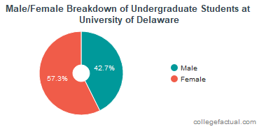 University of Delaware Diversity: Racial Demographics & Other Stats