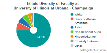 University of Illinois at Urbana - Champaign Diversity: Racial ...