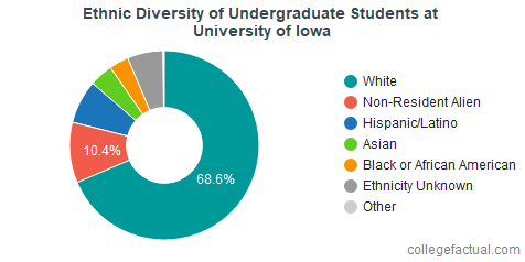 University of Iowa Diversity: Racial Demographics & Other Stats