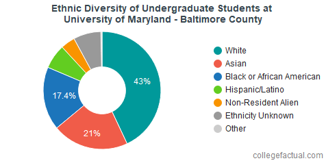 University of Maryland - Baltimore County Diversity: Racial ...