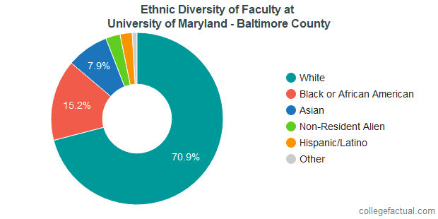 University of Maryland - Baltimore County Diversity: Racial ...