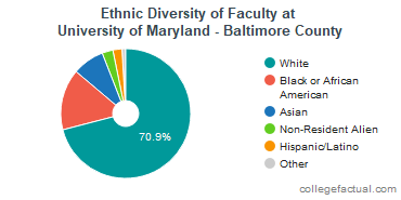 University of Maryland - Baltimore County Diversity: Racial ...