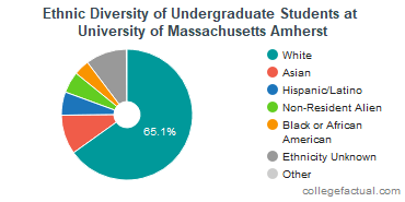 University of Massachusetts Amherst Diversity: Racial Demographics ...