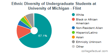 University of Michigan - Flint Diversity: Racial Demographics & Other Stats