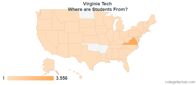 Virginia Tech Diversity: Racial Demographics & Other Stats