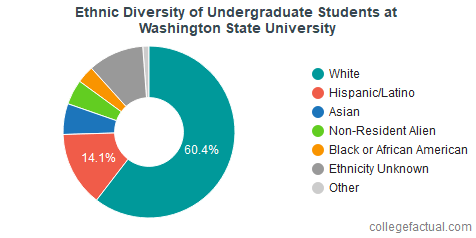 Washington State University Diversity: Racial Demographics & Other Stats