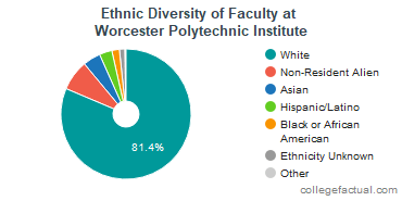 Worcester Polytechnic Institute Diversity: Racial Demographics & Other ...